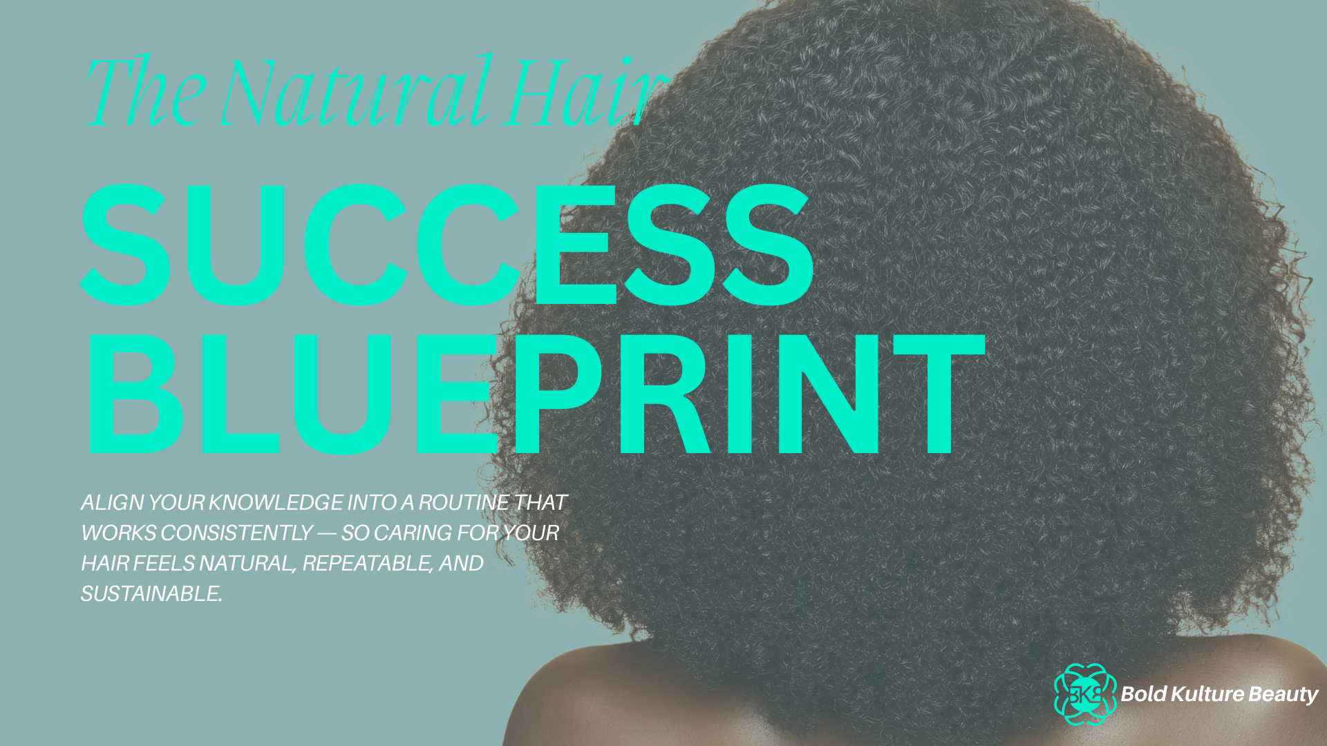 The Natural Hair Success Blueprint | Bold Kulture Beauty